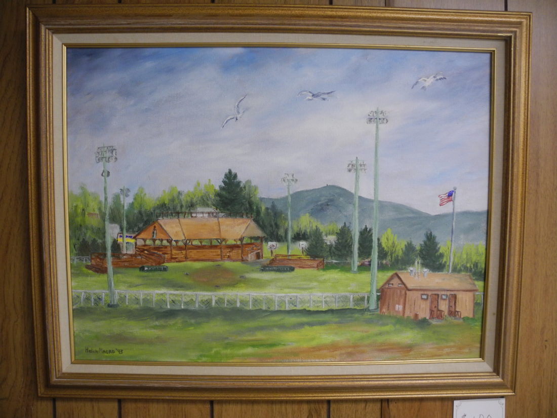 Goff-Nelson Memorial Library looks to raise money with donated ...